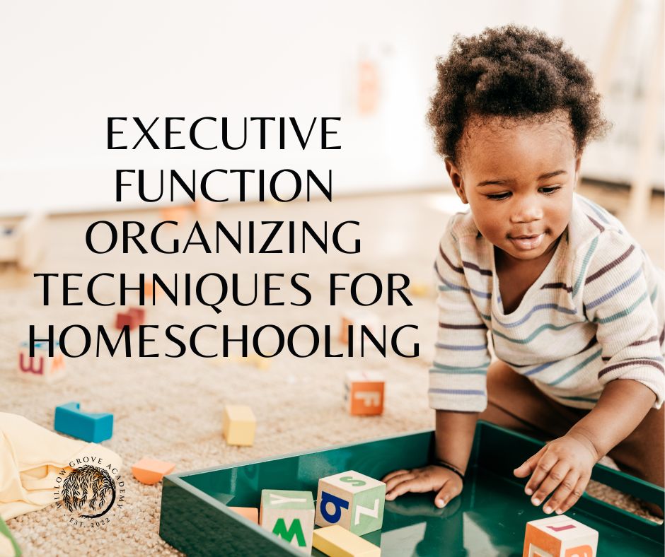 Executive Function Organizing Techniques for Homeschooling - Willow ...
